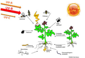 BL4270 – Plant environment Interactions – School of Biology – Students